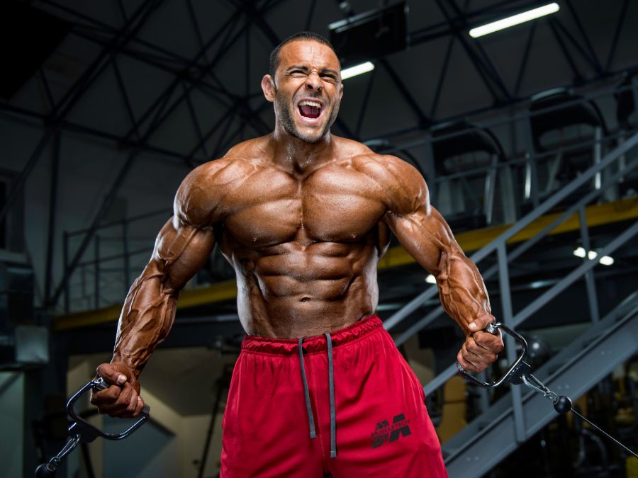 How Many Calories Should You Eat for Bodybuilding? · MuscleTech