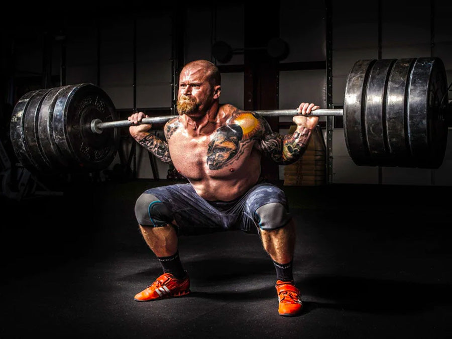 A-Z Guide to Bodybuilding for Beginners · MuscleTech