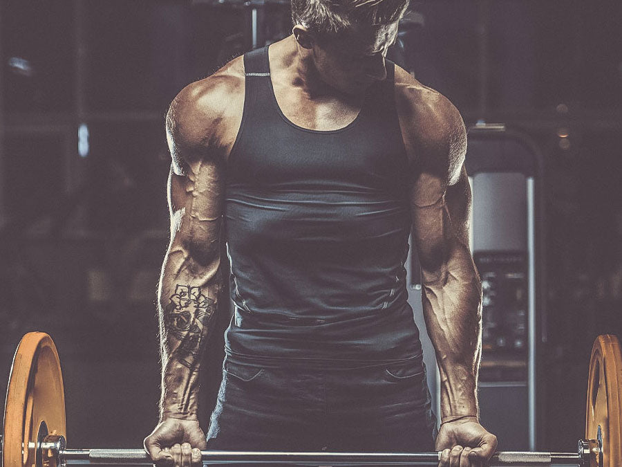 How do Nitric Oxide Supplements Boost Your Health? · MuscleTech
