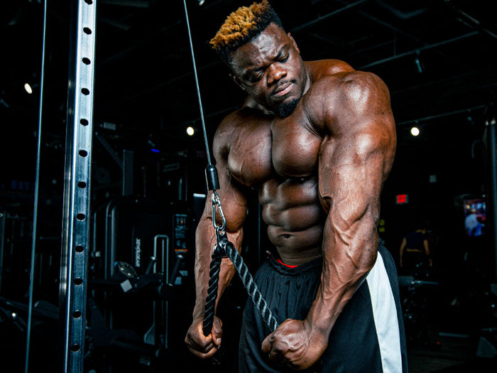 Journal - MuscleTech