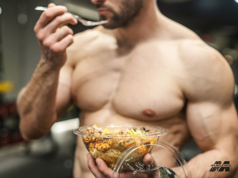 Pre Workout Meal for Muscle Gain · MuscleTech