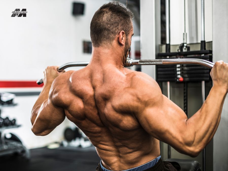 Should You Cycle Creatine? Here’s What Science Says · MuscleTech