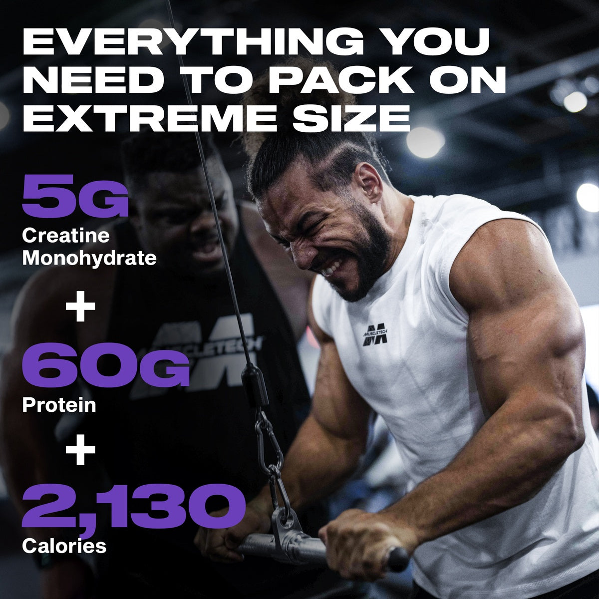 Mass-Tech Extreme 2000 - High Protein Mass Gainer [Free Shipping ...